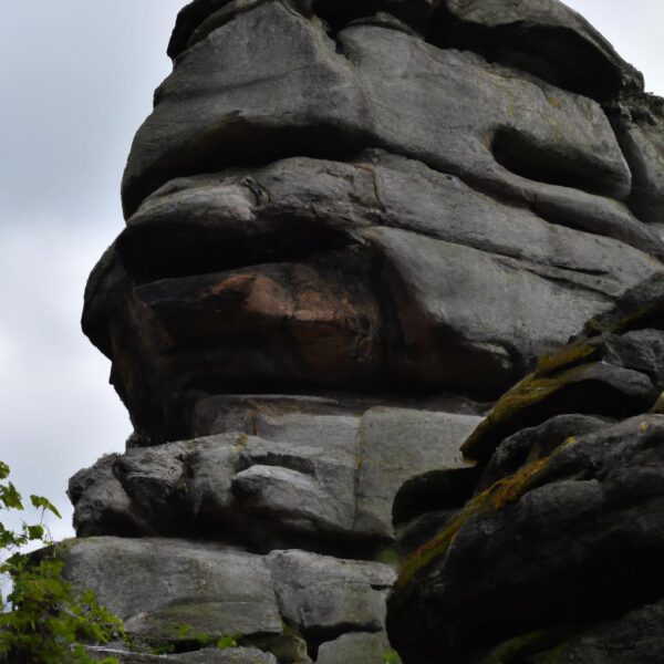 Brimham Rocks: A Must-Visit Destination for Nature Lovers - TooLacks
