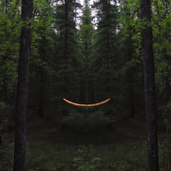 The Enchanting Smiley Face Forest: A Mysterious Wonder in Pennsylvania ...