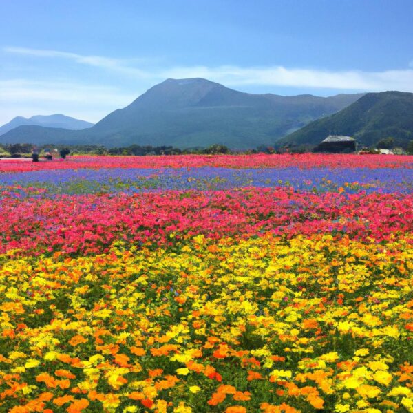 Yufuin Floral Village: A Captivating Retreat for Nature Enthusiasts ...