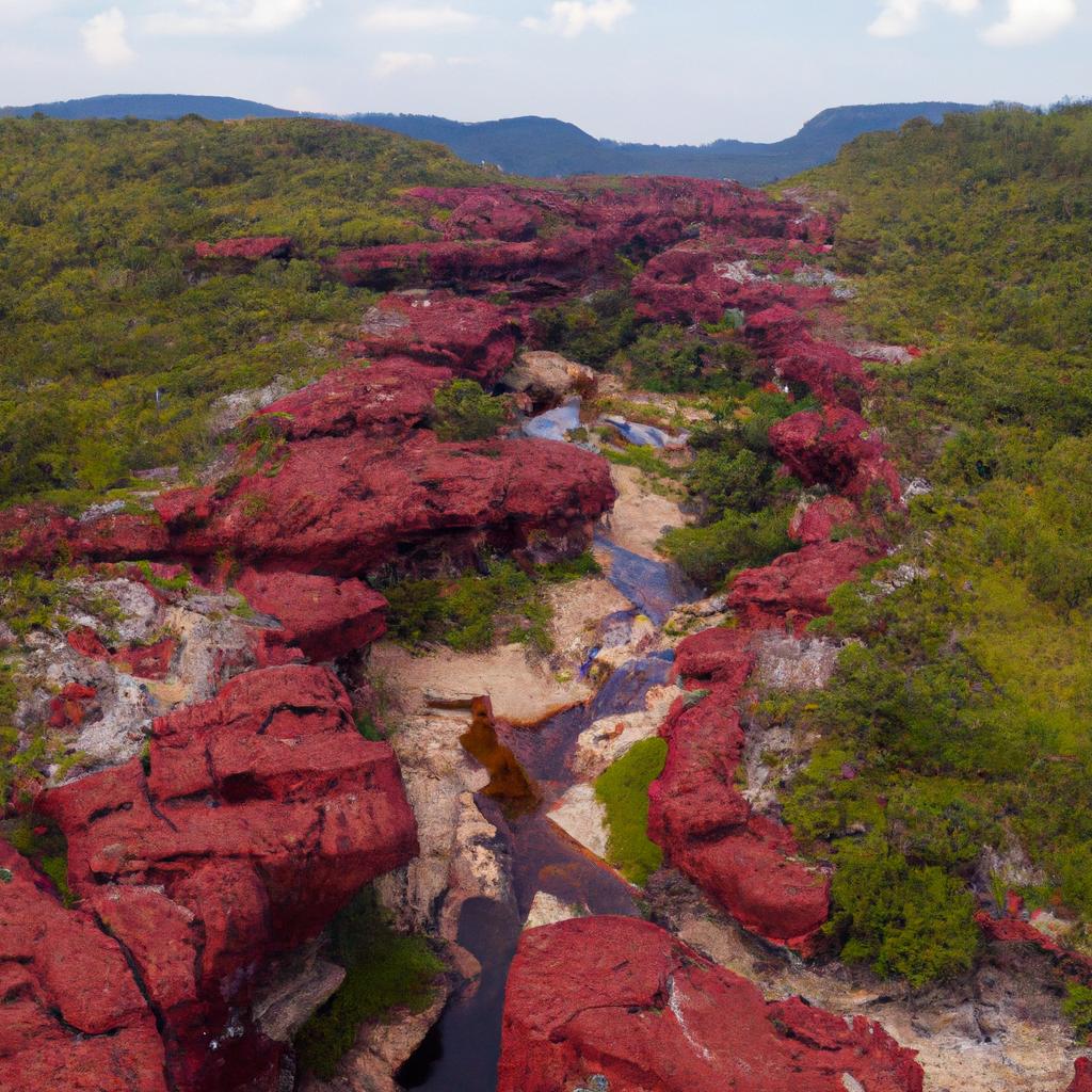 Cano Cristales River in Colombia: A Natural Wonder - TooLacks