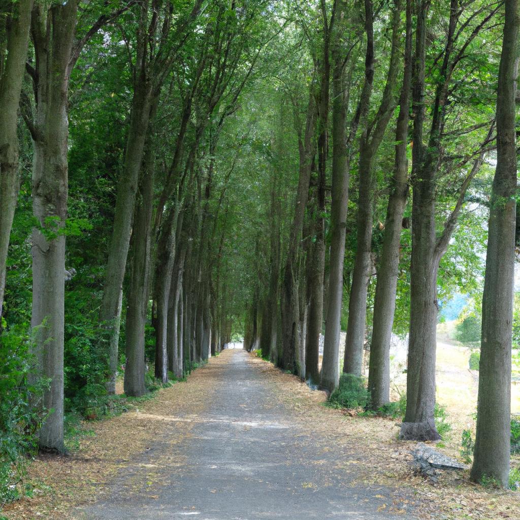 Discover the Beauty of Botanical Garden of Rome: A Guide to the City's ... Discover the Beauty of Botanical Garden of Rome: A Guide to the City's ...