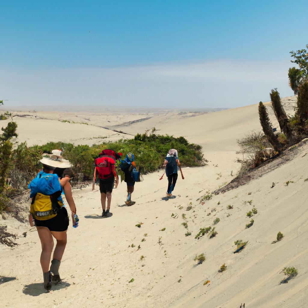Discover the Hidden Gems of Peru's Desert Oasis - TooLacks