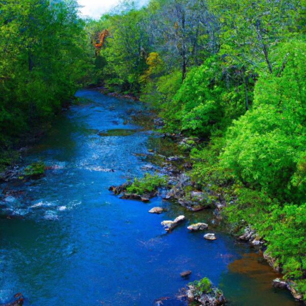 The Enchanting Beauty of Coloured Rivers: A Natural Wonder Worth ...