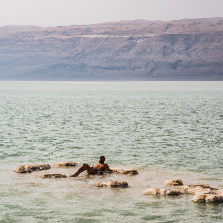 Understanding Dead Sea Salinity: Everything You Need to Know - TooLacks