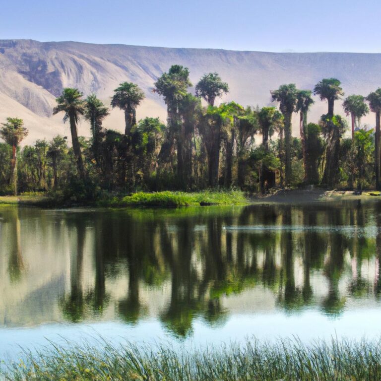 Discover the Hidden Gems of Peru's Desert Oasis - TooLacks