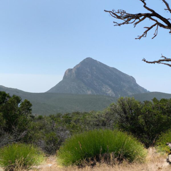 Devil Mountain Wyoming: A Hidden Gem for Nature Lovers - TooLacks