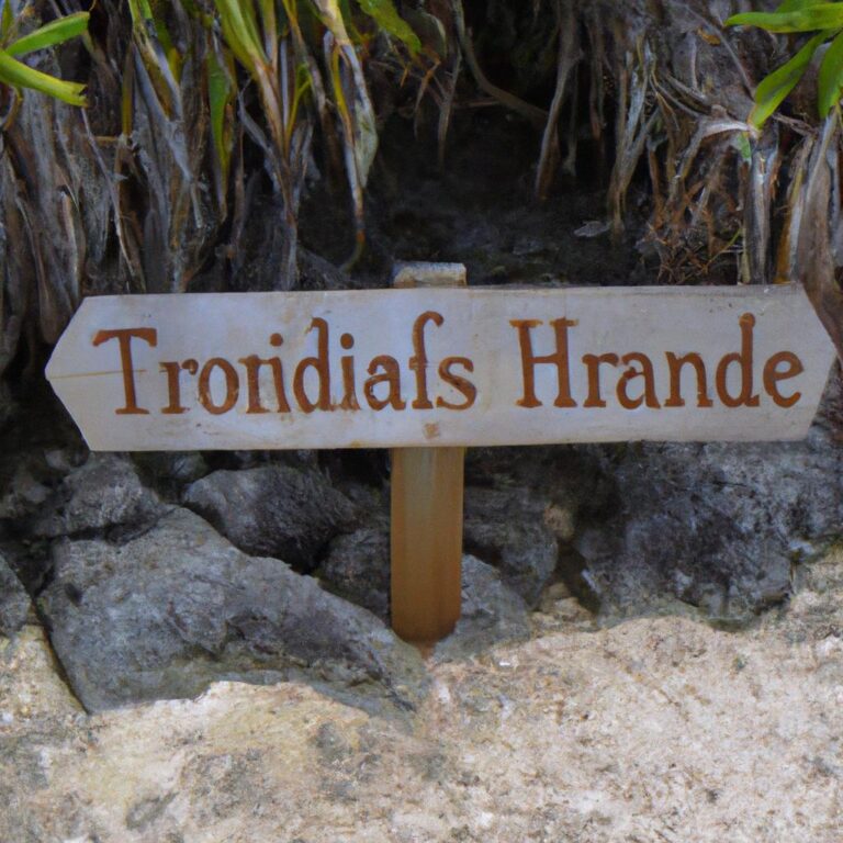 The Forbidden Island: A Mysterious Land of Uncontacted Tribes - TooLacks