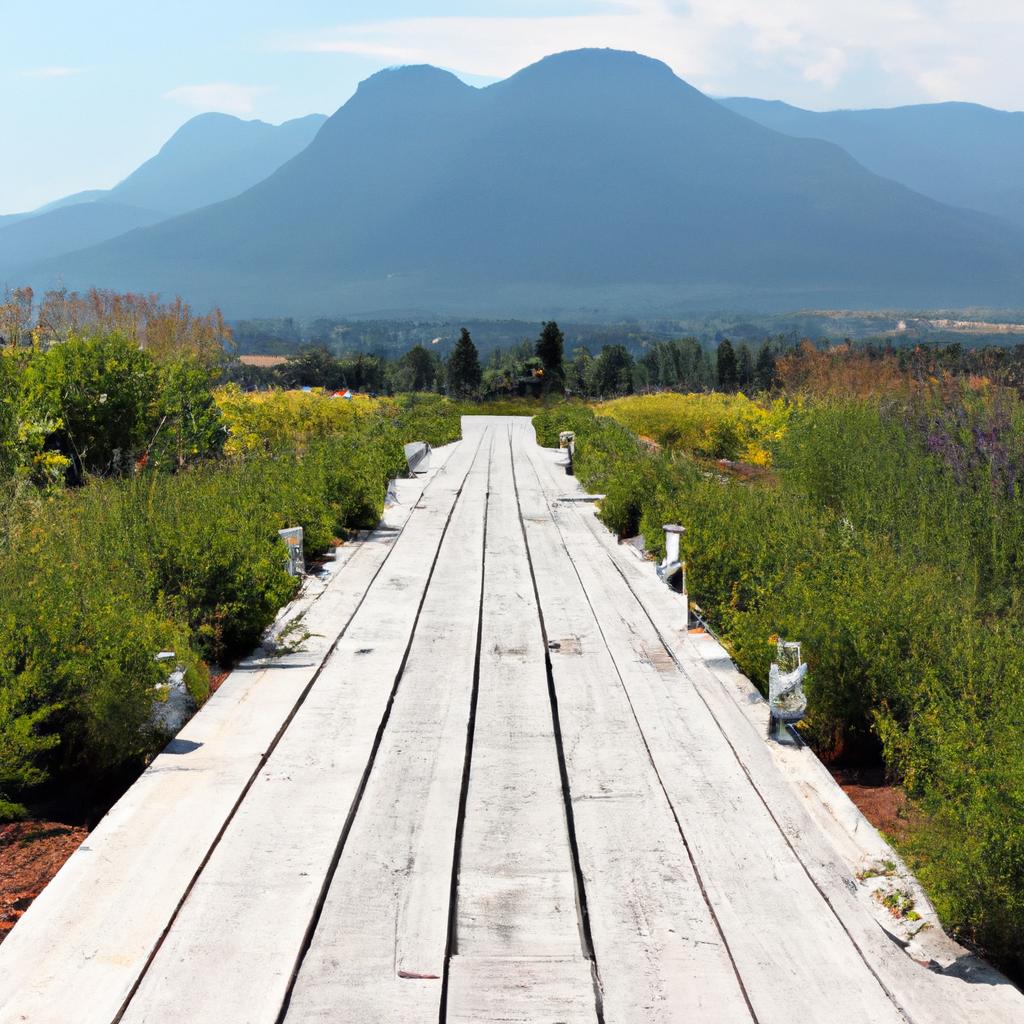 Garden Pathways: Enhance the Beauty of Your Outdoor Space - TooLacks