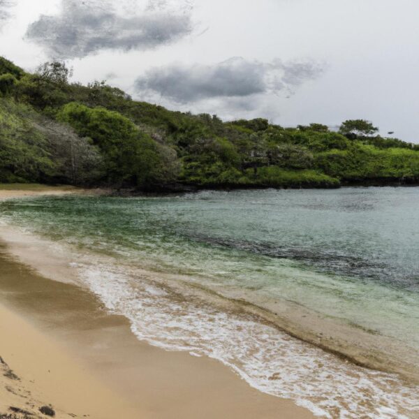 Green Beach Hawaii: A Unique and Spectacular Destination - TooLacks