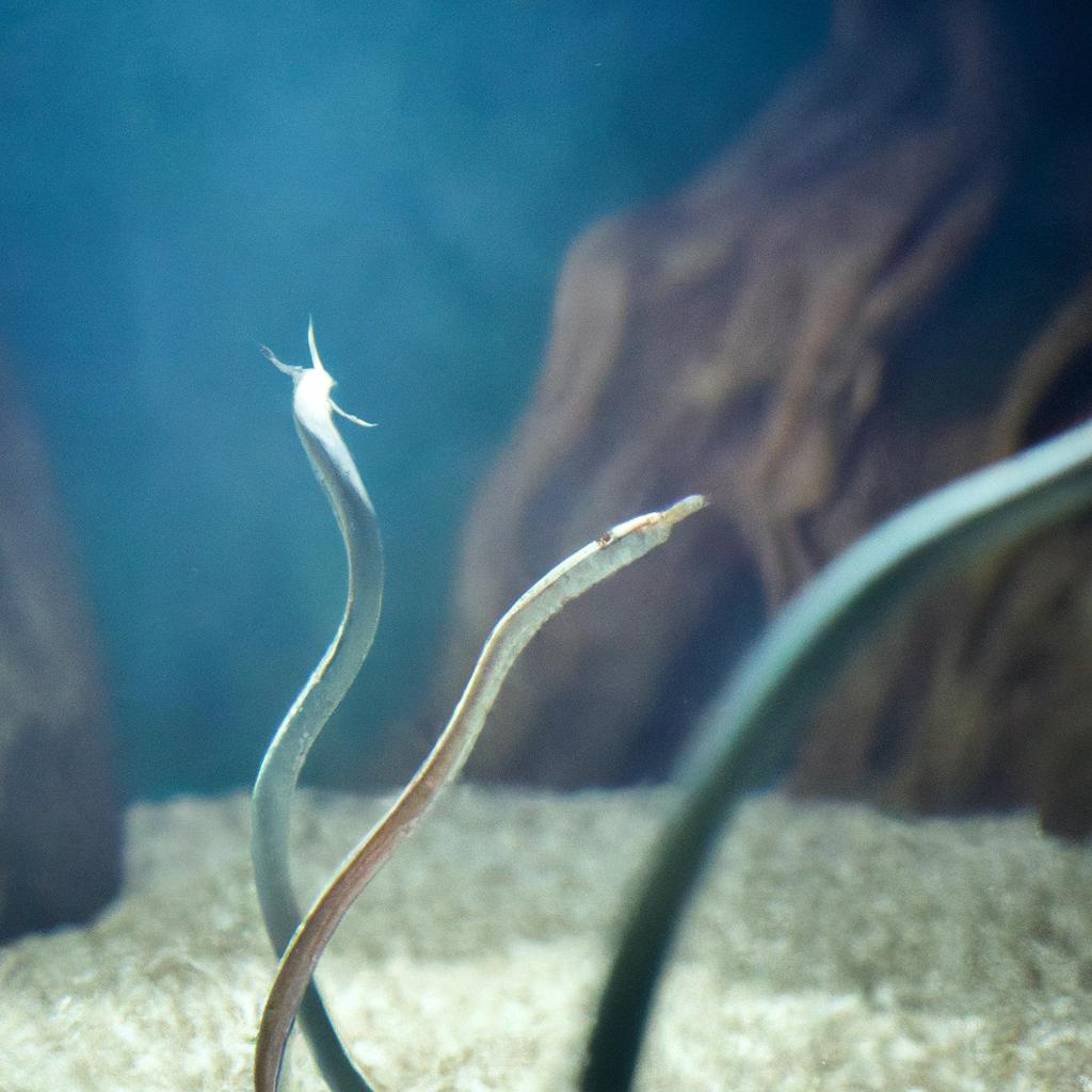 Uncovering the Mysteries of the Ocean Serpent - TooLacks