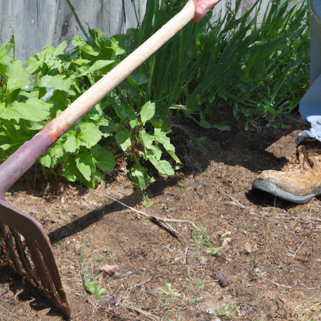 Sustainable gardening: How to create a green and healthy garden - TooLacks