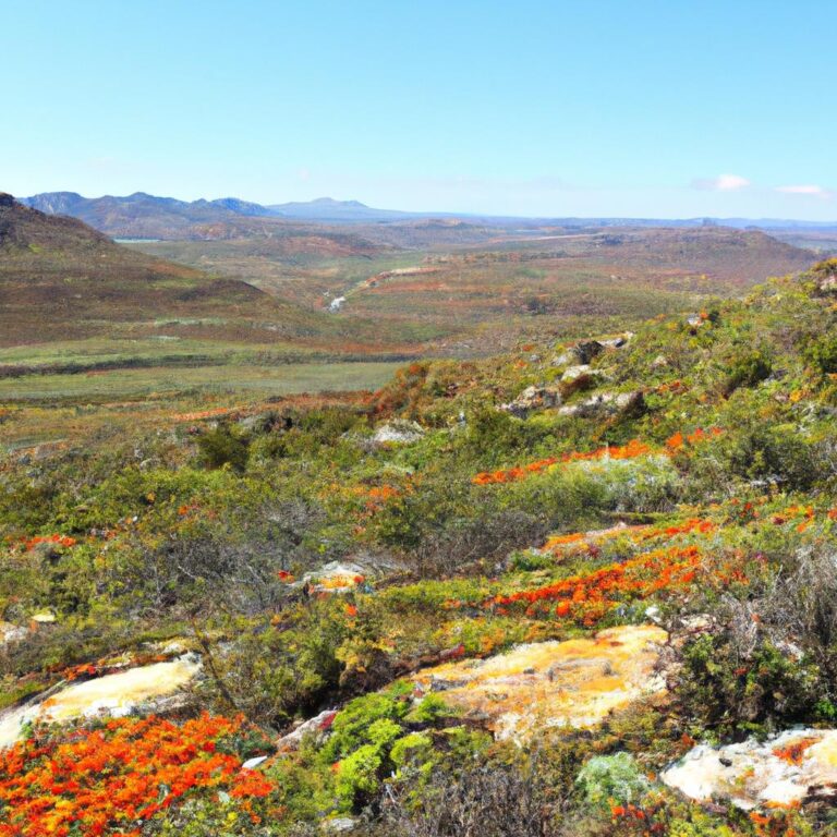 Namaqua National Park: A Natural Haven for Adventure Seekers and Nature ...