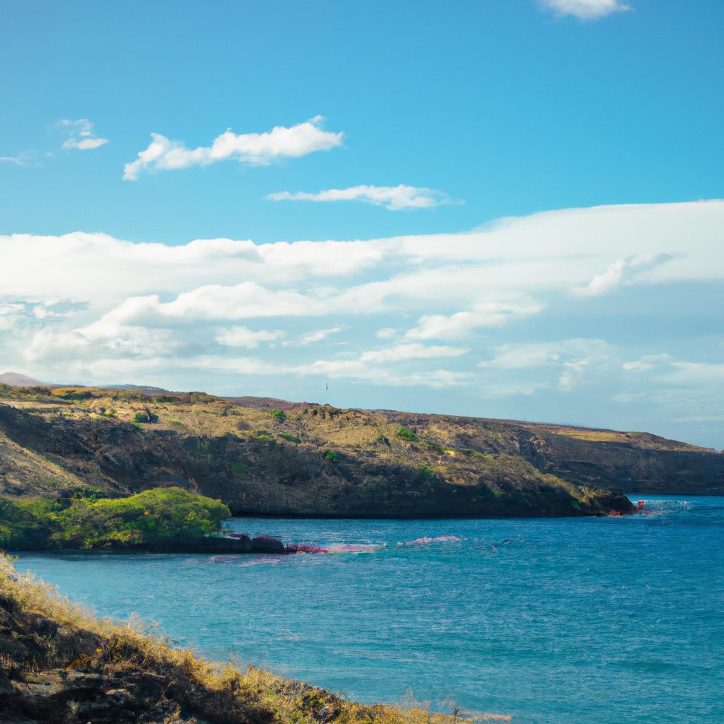 Exploring the Uniqueness of Papakolea Beach: Green Sand and More - TooLacks