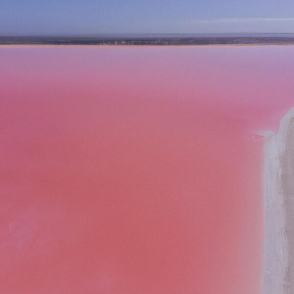 Pink Lake Water: Nature's Phenomenon - TooLacks