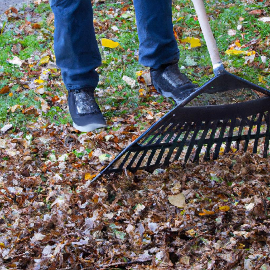 Lawn Care: How to Maintain a Healthy and Beautiful Lawn - TooLacks