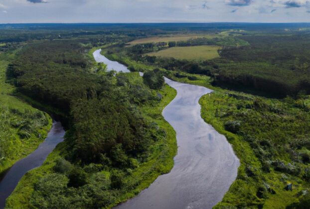 Rat Move: Understanding the Behavior and Movements of Rats - TooLacks