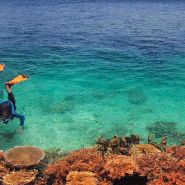 Discovering the Natural Wonder of Christmas Island National Park - TooLacks